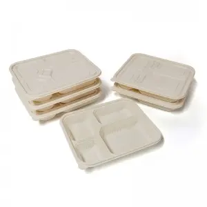 Eco-Friendly PLA Disposable Lunch Box with Lid