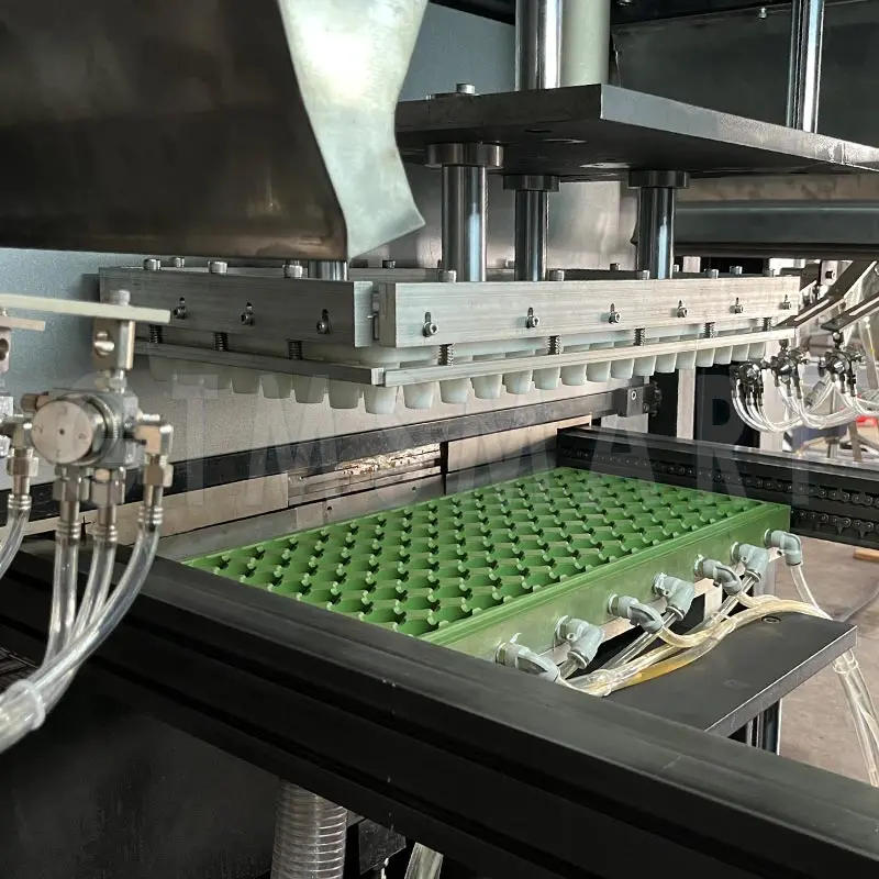 Seedling Tray Forming Machine