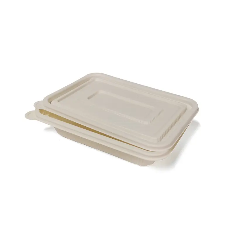 PLA Biodegradable Plastic Disposable Takeaway Square Lunch Box - GTM Smart